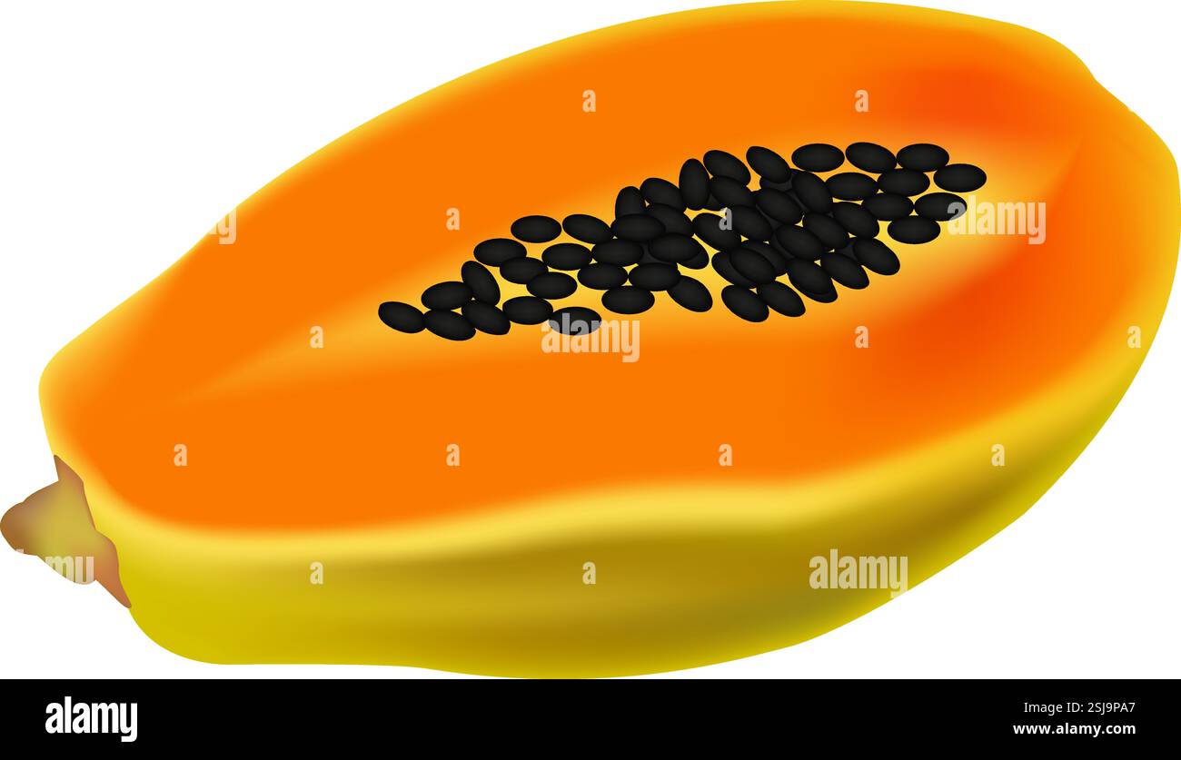 Papaya fruit vector design Stock Vector Image & Art - Alamy