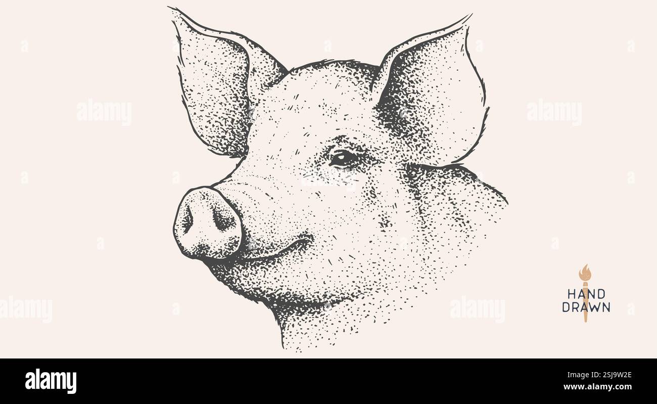 Pork, pig, hog. Hand drawn Stock Vector Image & Art - Alamy