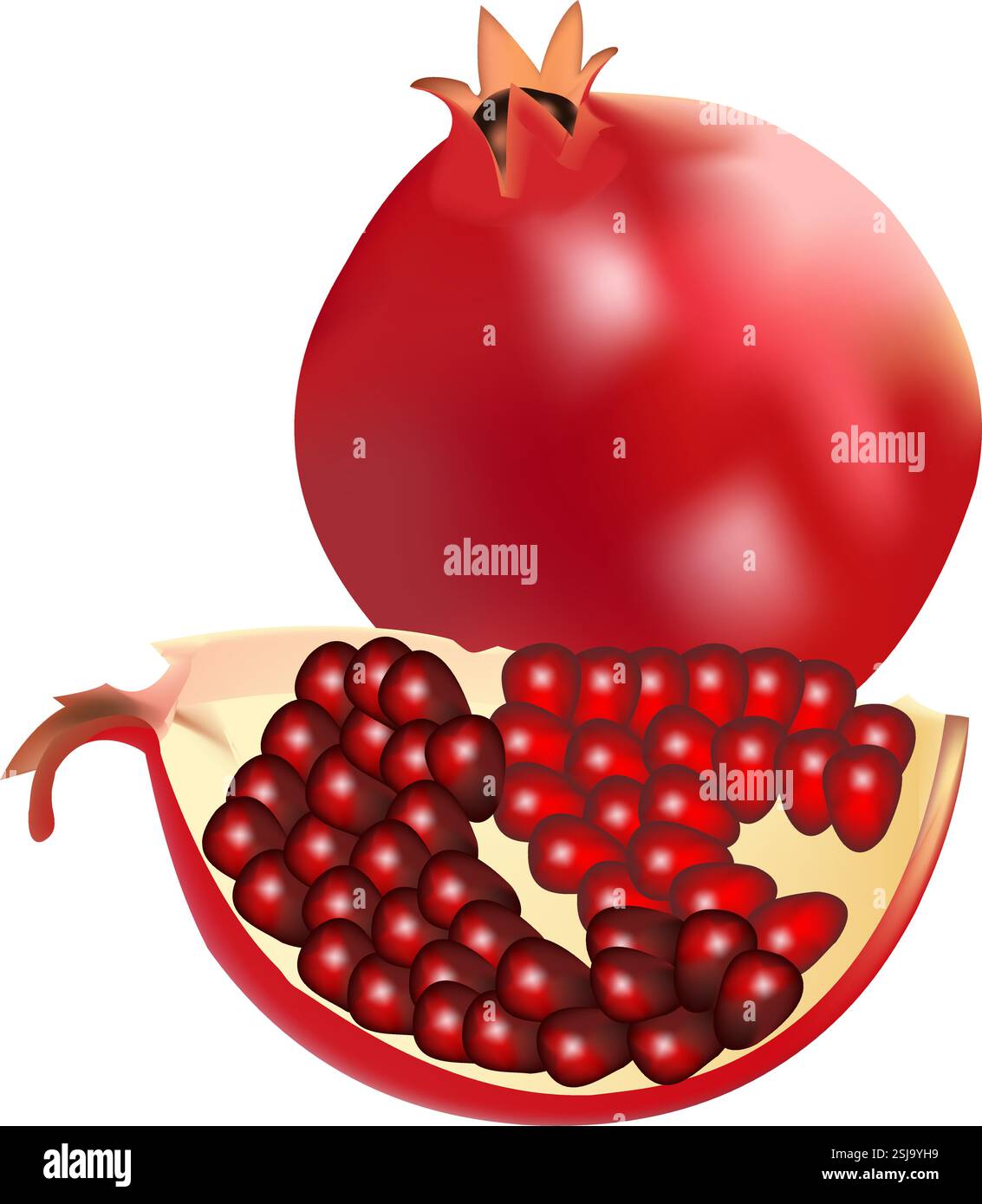 Cut pomegranate half on Stock Vector Images - Alamy