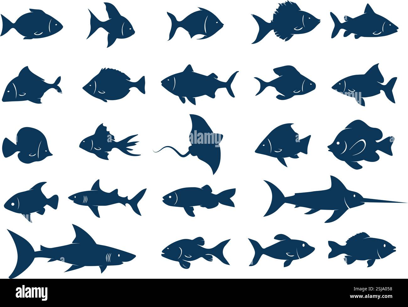 Stencil fishes. Ocean fish, sharks, batomorphi and tropical aquarium ...