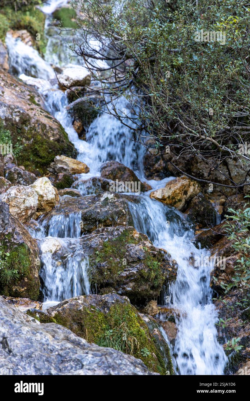 Mountain streams cascade over mossy rocks, surrounded by alpine ...