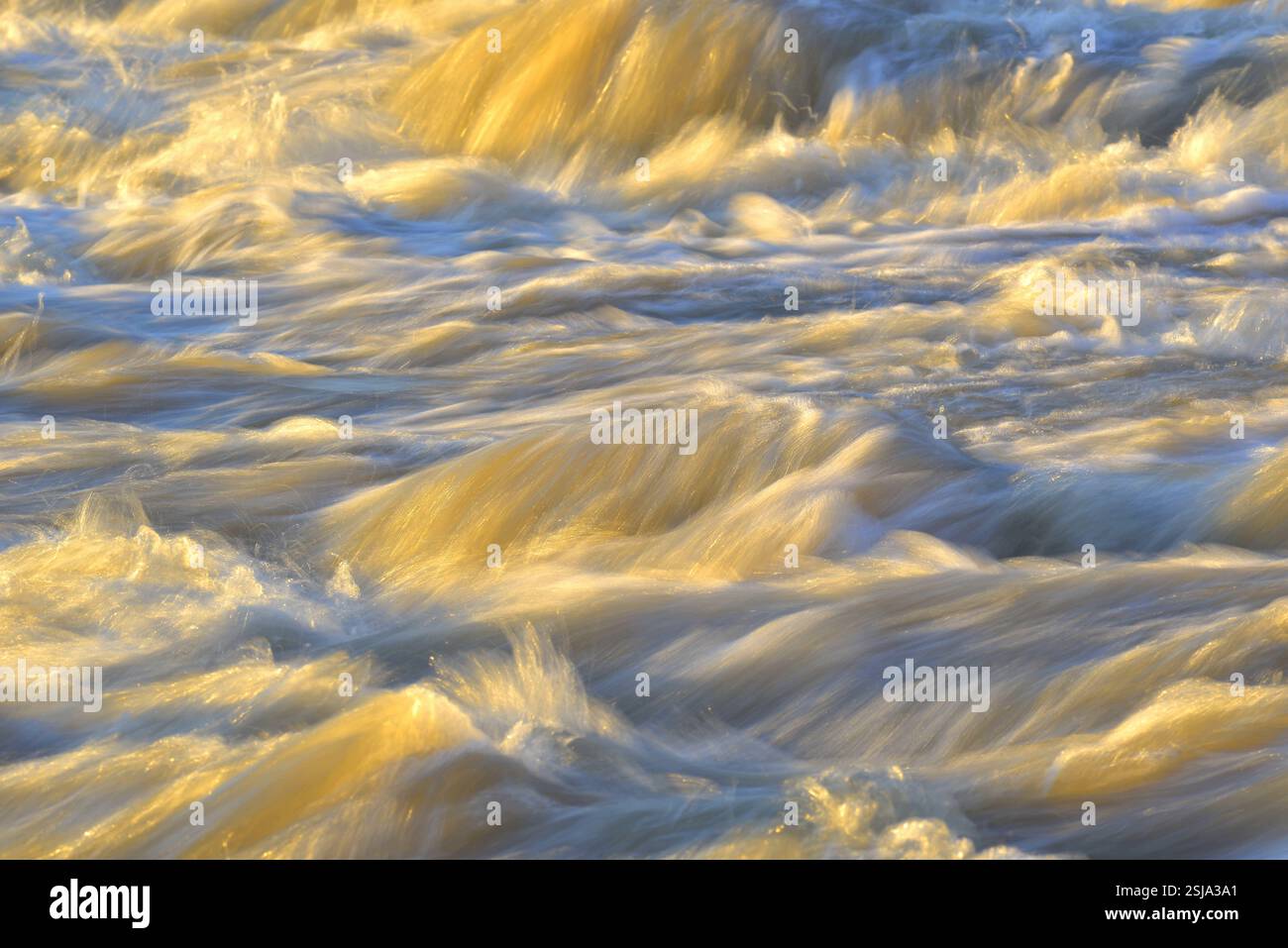 Mud-tinged water of the Trotus river flowing in light jolts at the ...