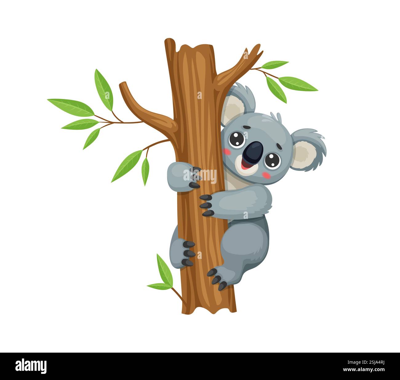 Cartoon funny koala bear character clinging to eucalyptus tree with ...
