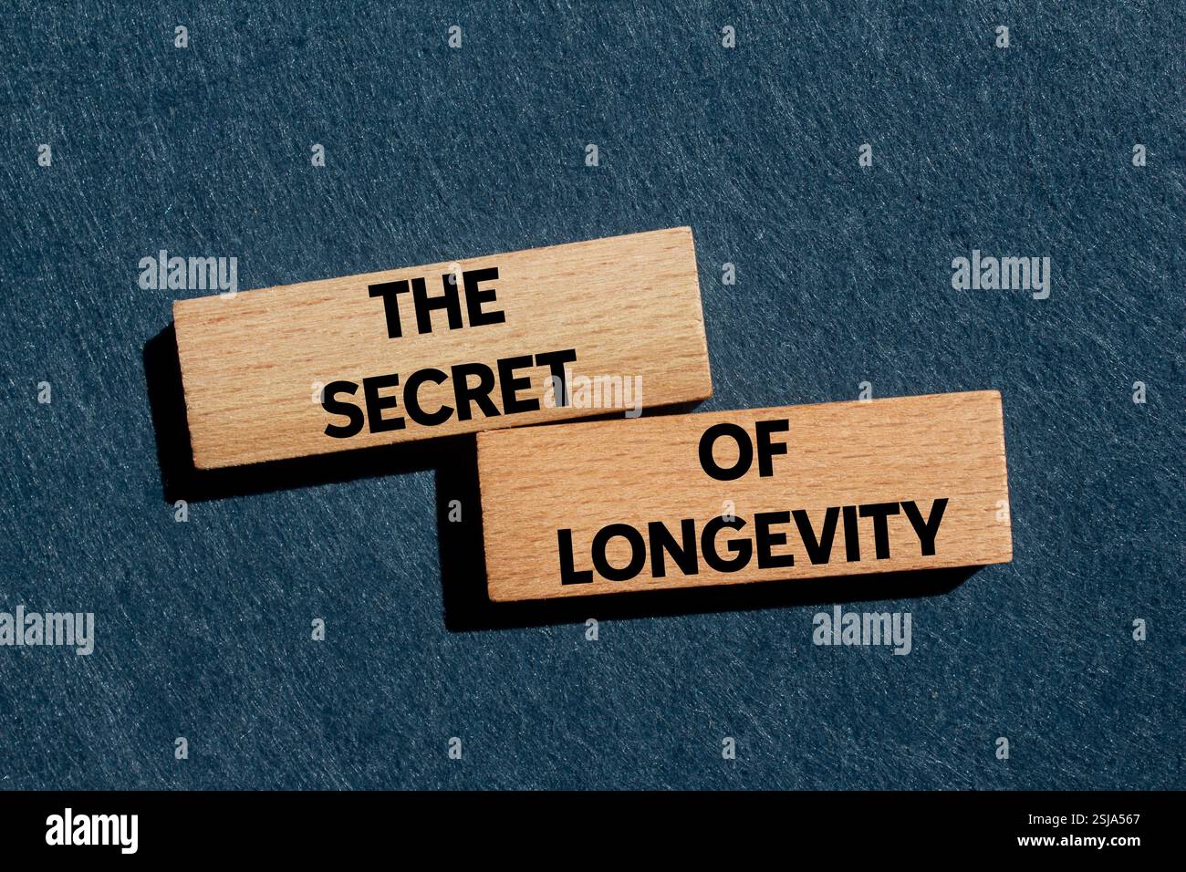 The secret of longevity message written on wooden blocks on gray ...