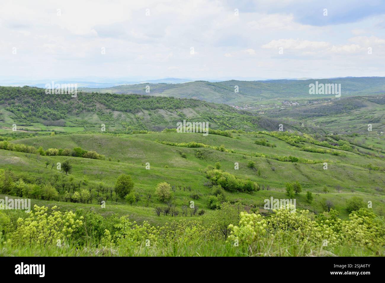 The green hills of Dealul Mare in the Ceptura area on a spring day ...