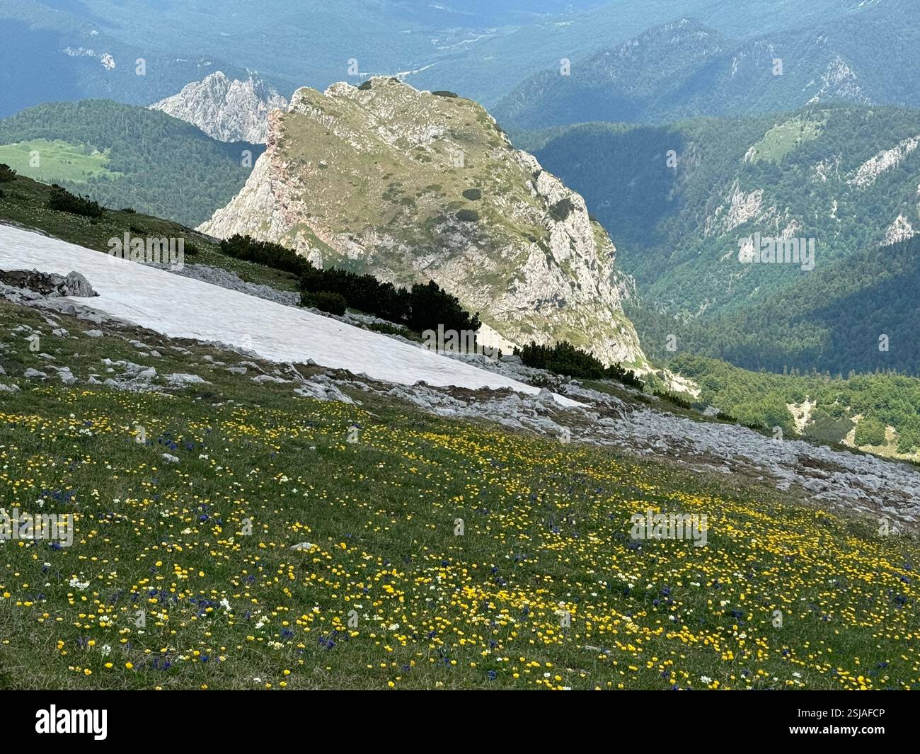 Hiking day on Volujak mountain, Bosnia Stock Photo - Alamy
