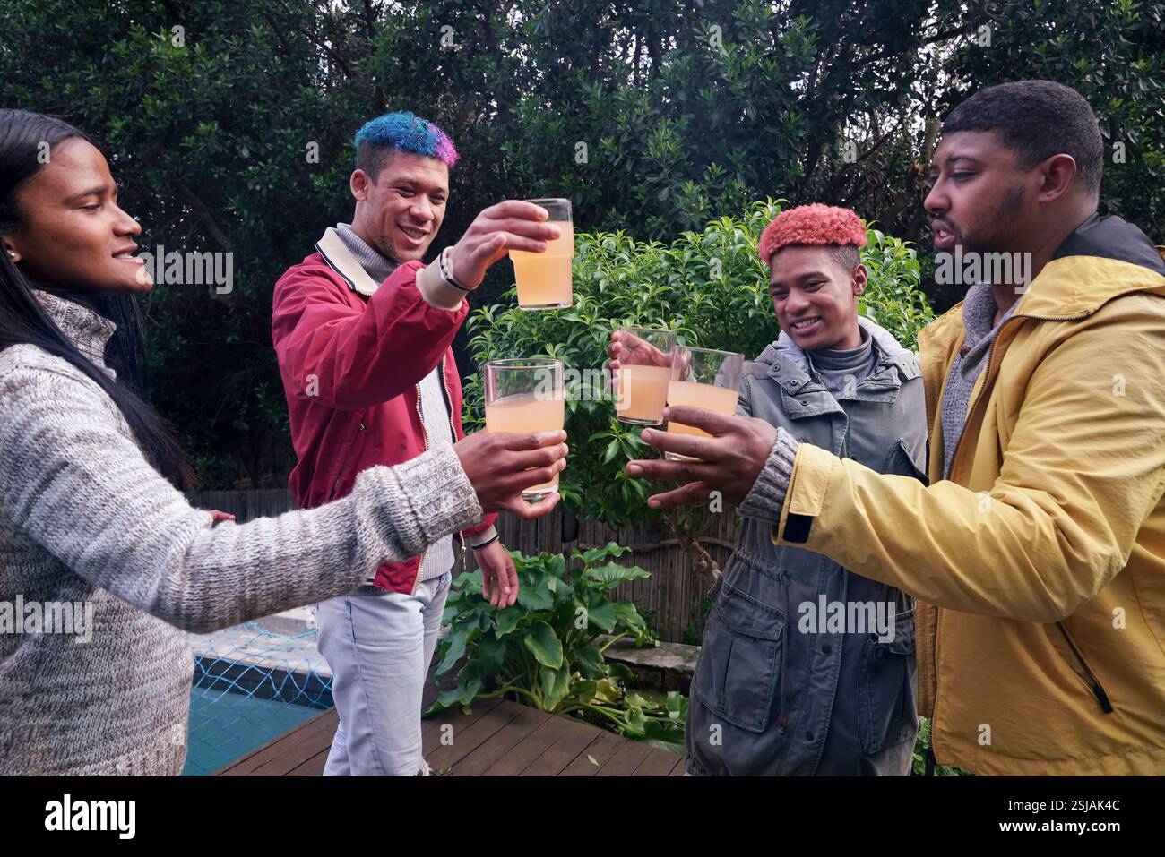 Smiling friends toasting glass hi-res stock photography and images - Alamy