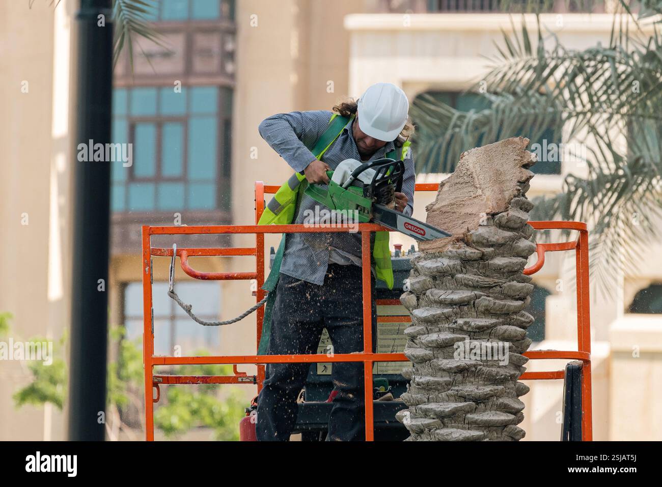 Worker in reflective green vest and white helmet cuts down a palm tree ...