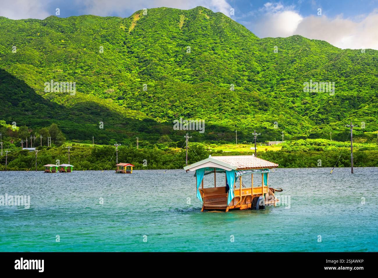 Water buffalo cart on Yubu Island, Okinawa, Japan Stock Photo - Alamy