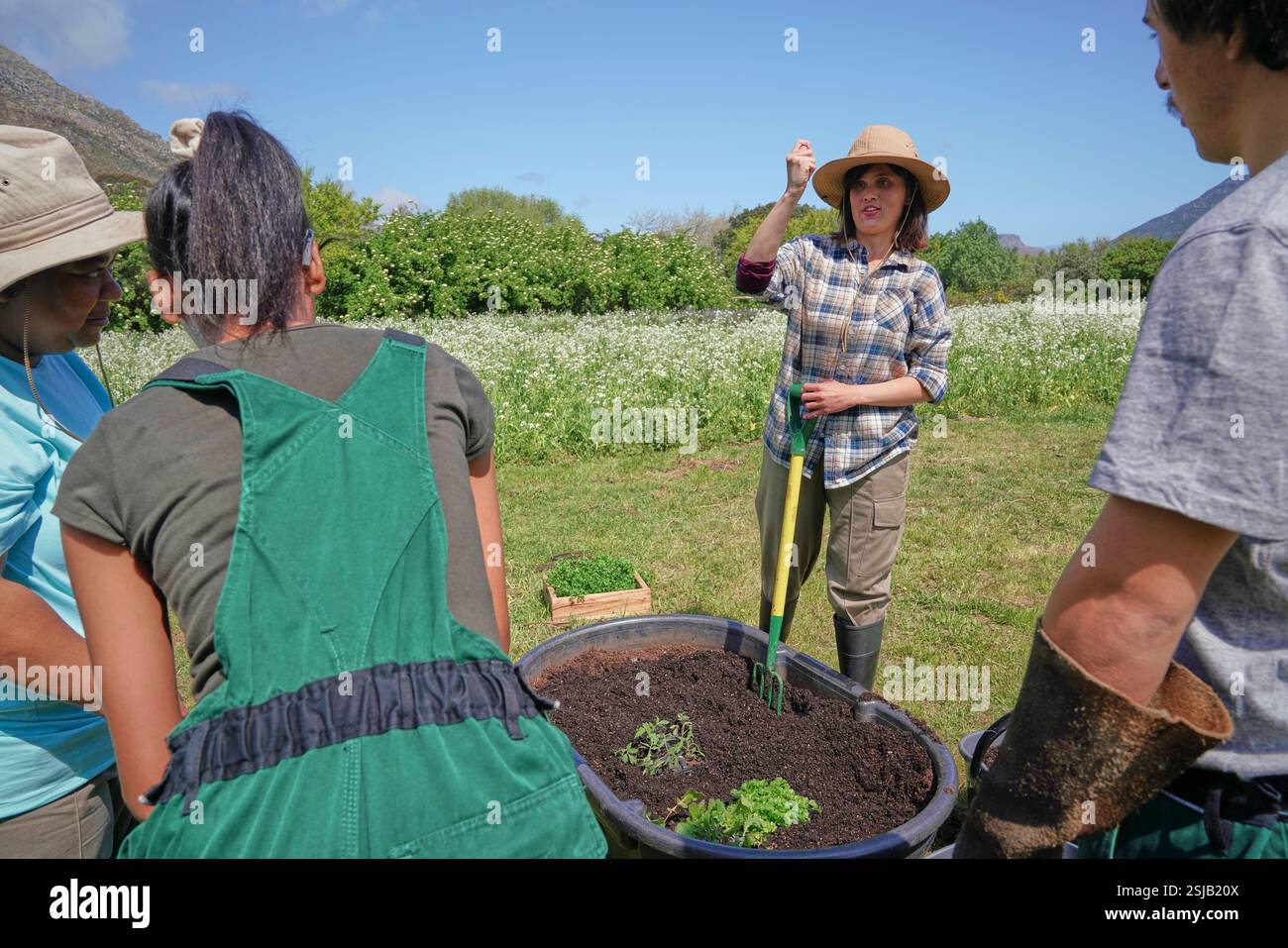 Group working garden hi-res stock photography and images - Alamy