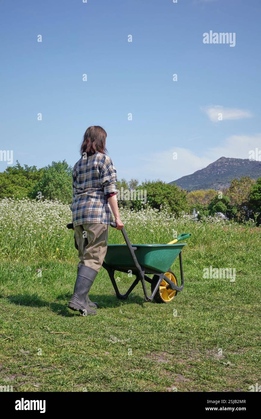 Woman pushing wheelbarrow in garden Stock Photo - Alamy