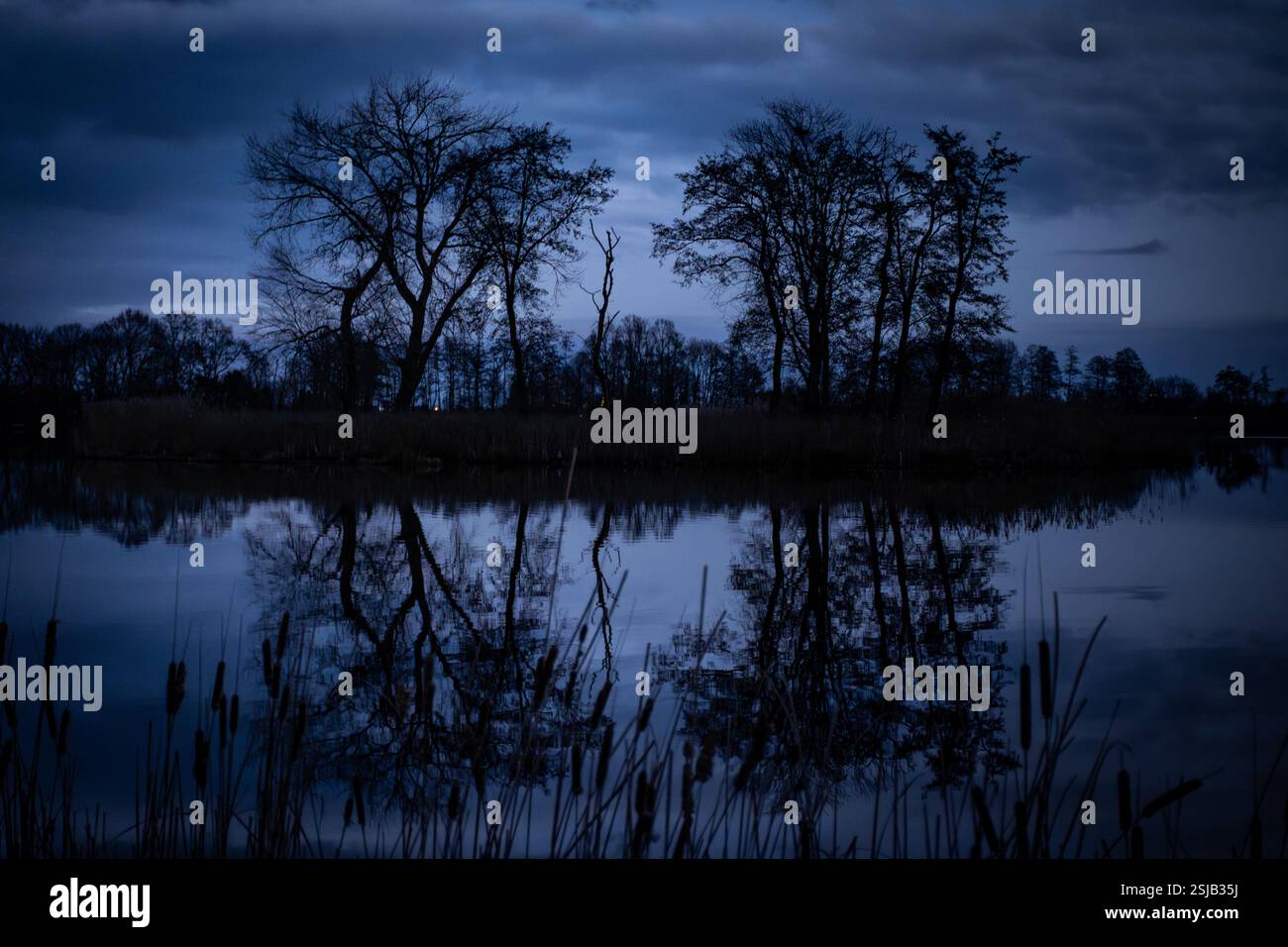 trees reflect in the dark evening water of Reeuwijkse Plassen, the ...
