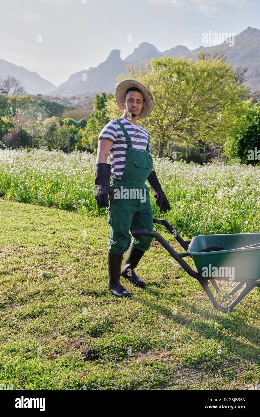 Man pushing wheelbarrow in garden Stock Photo - Alamy