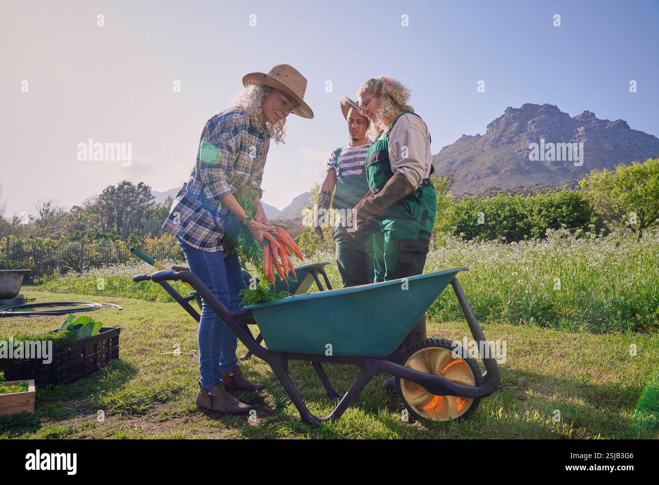 Wheelbarrow vegetable garden gardening hi-res stock photography and ...