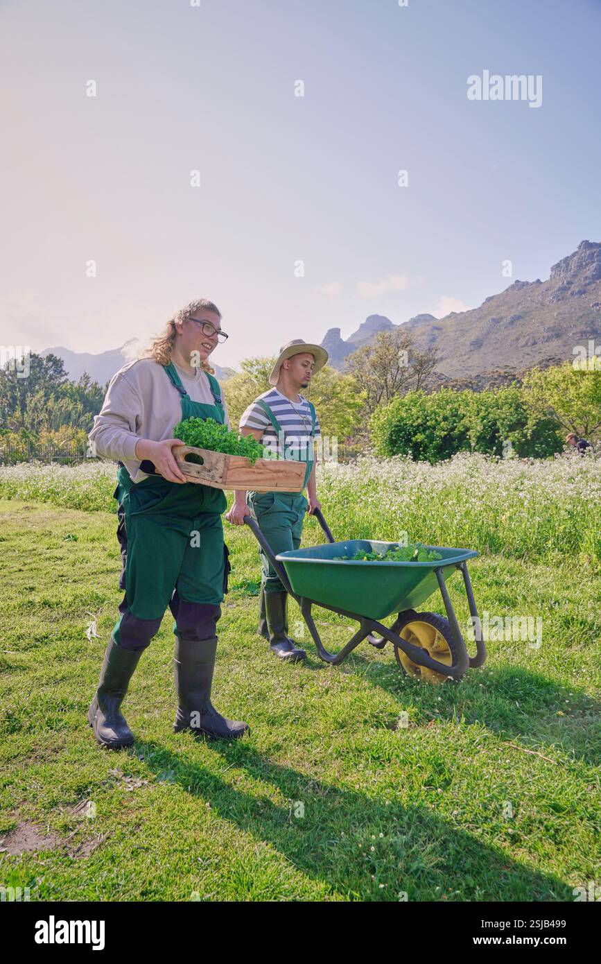 Two farmers carrying vegetables in container and wheelbarrow in garden ...
