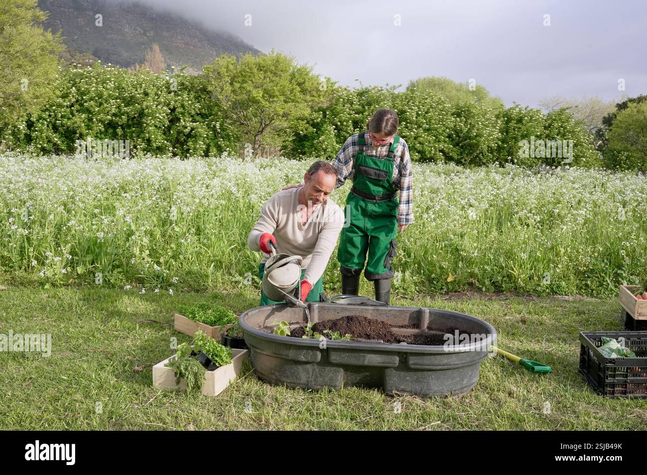 Farmers watering vegetables in huge pot Stock Photo - Alamy