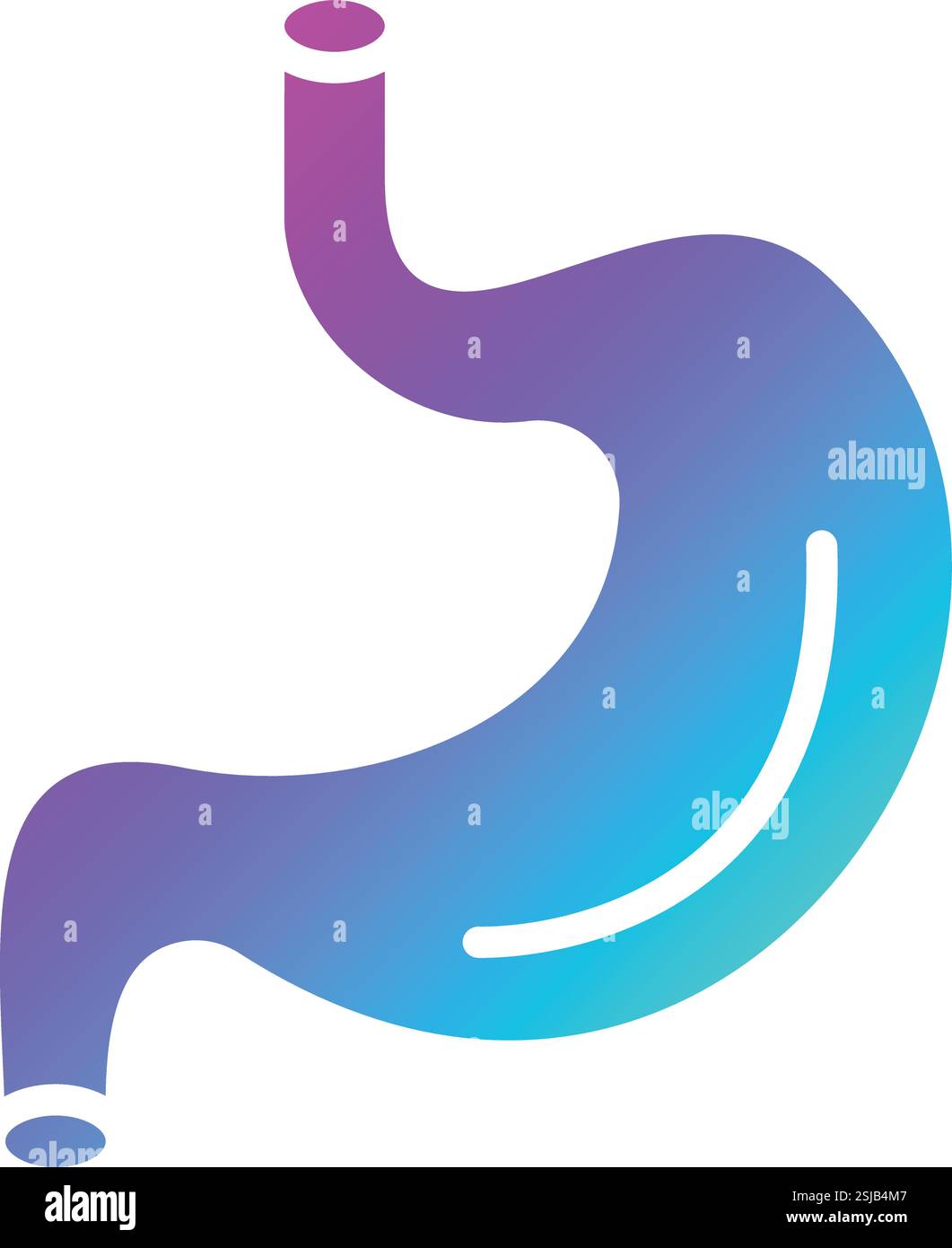 Stomach Vector Icon Design Illustration Stock Vector Image & Art - Alamy