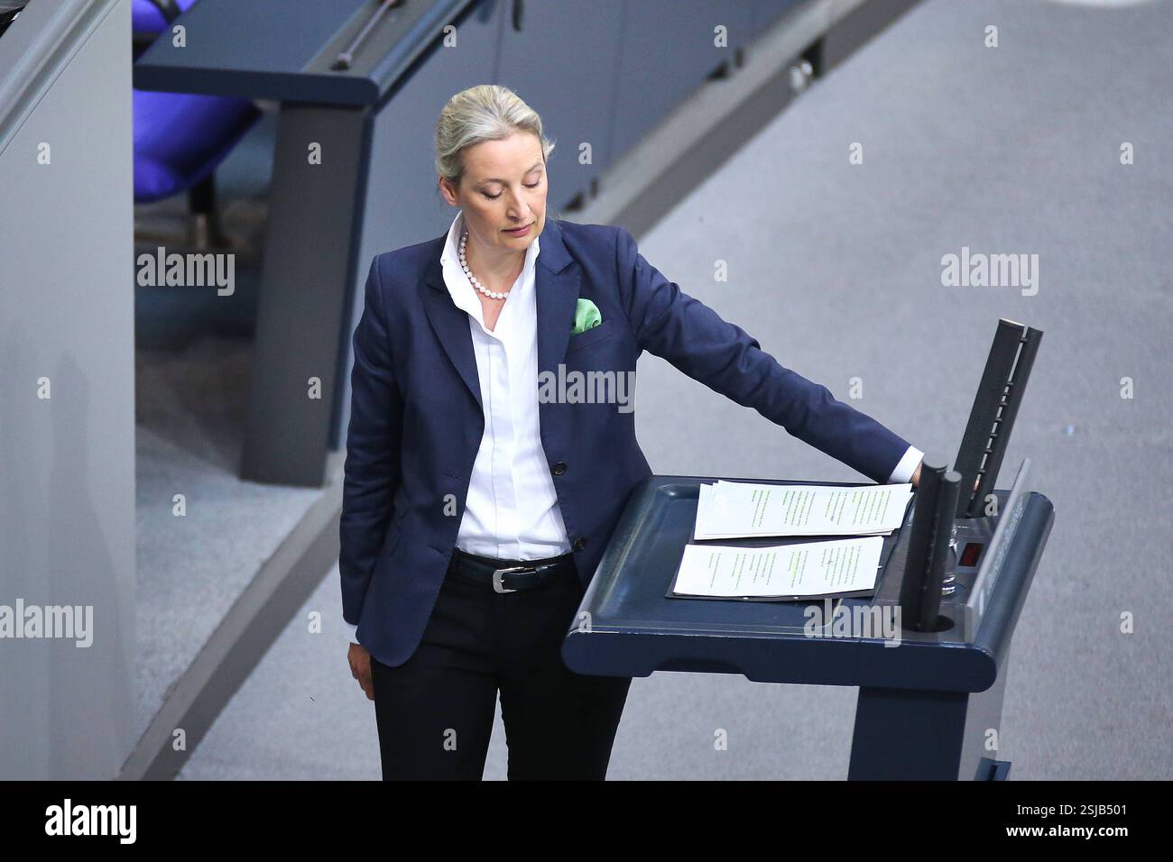 Berlin, Deutschland, 11.02.2025: Deutscher Bundestag: 212 ...