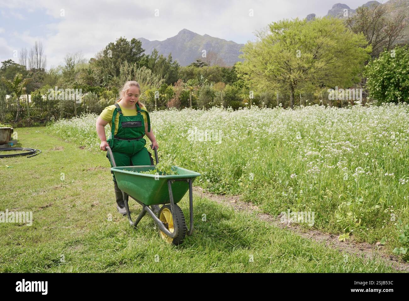 Female farmer pushing wheelbarrow in garden Stock Photo - Alamy
