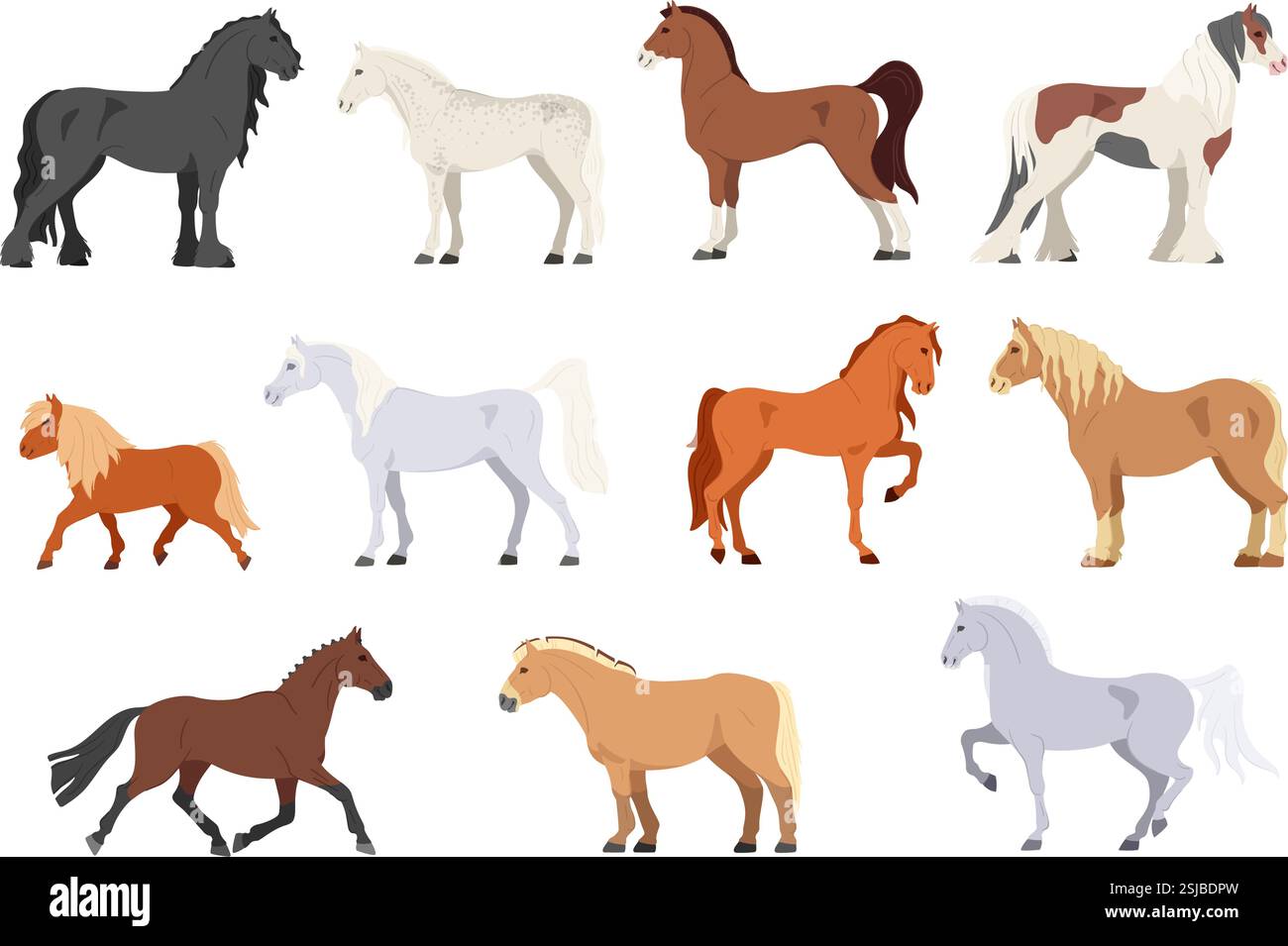 Cartoon horses. Different horse types, breeds and colors. Prancing pony ...