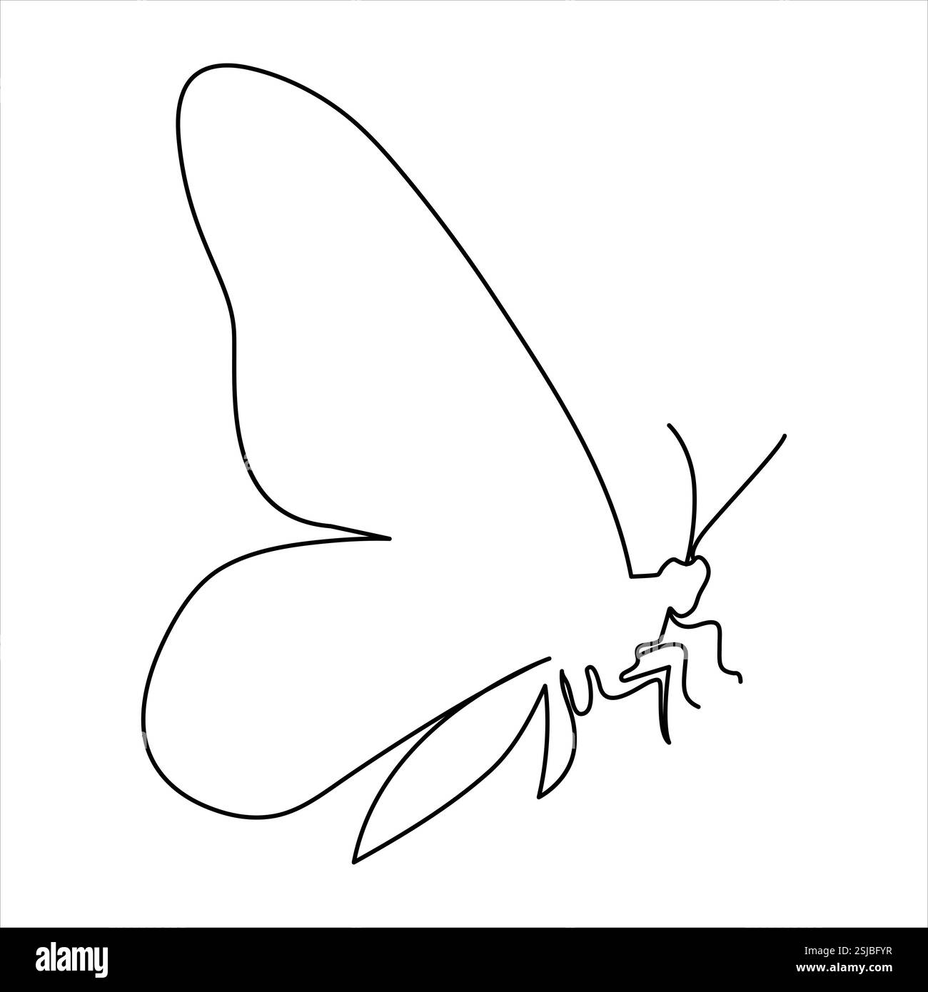 Butterfly line drawing Black and White Stock Photos & Images - Alamy