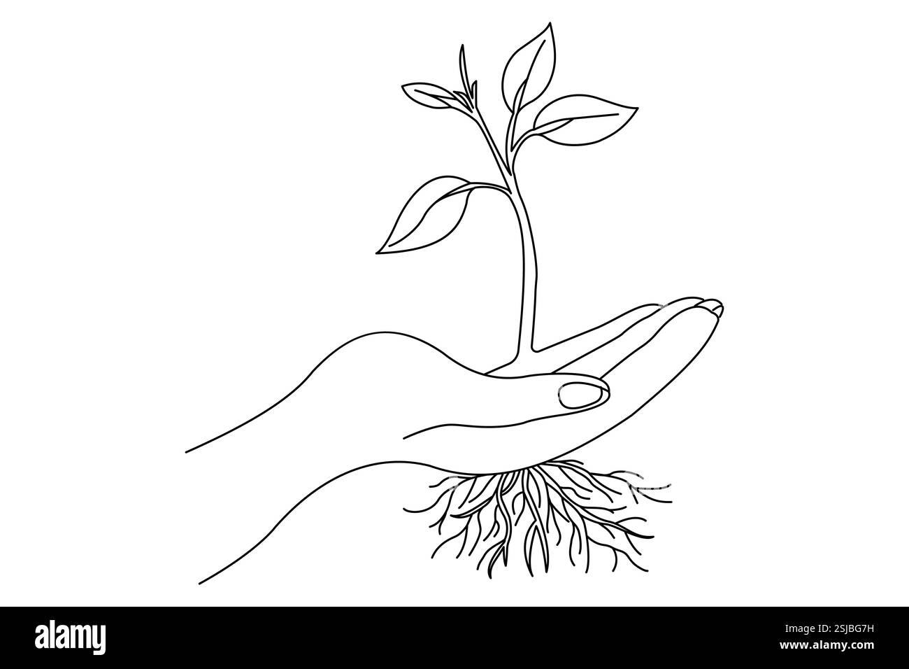 Plant growth processing start from bean seed single line art drawing ...