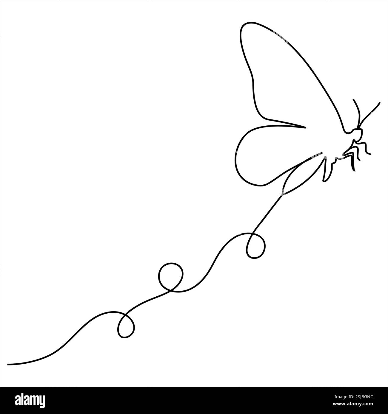 Butterfly line drawing Black and White Stock Photos & Images - Alamy