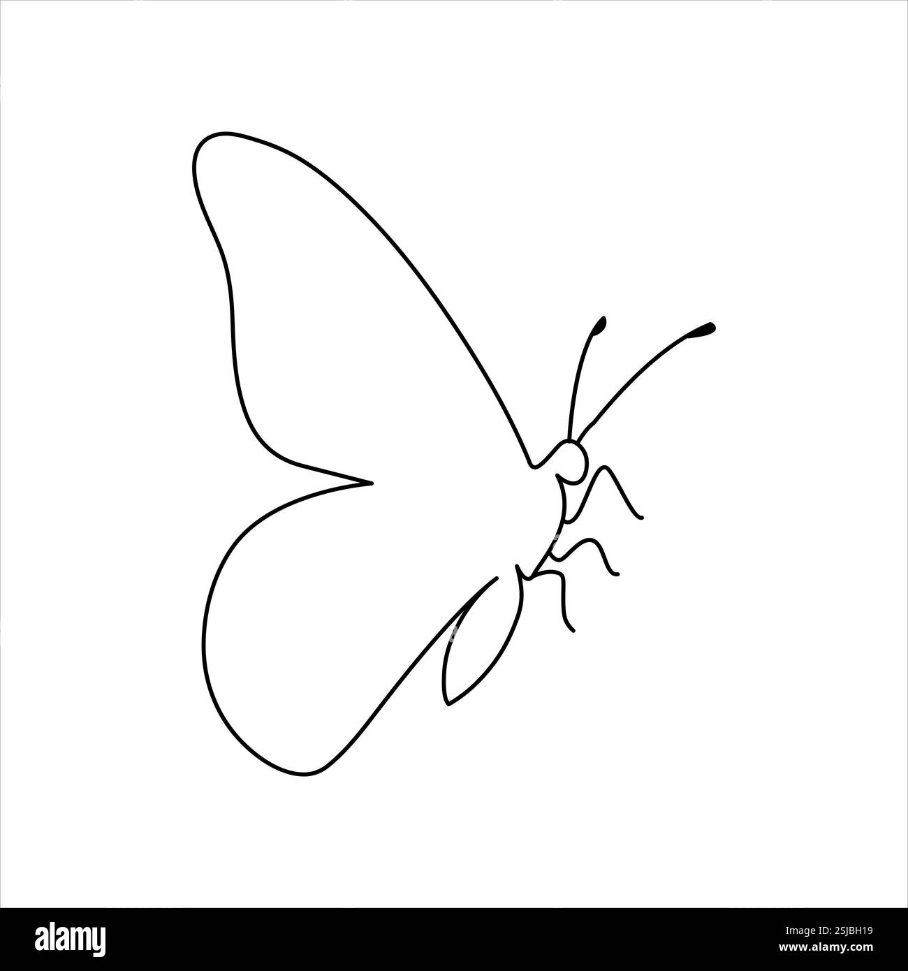 Continuous single line of butterfly outline vector illustration ...