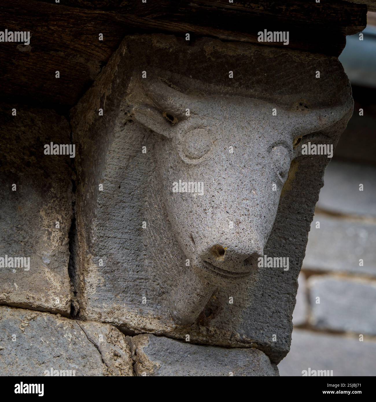 Modillion of the Romanesque church of Our Lady of the Assumption in Jou ...