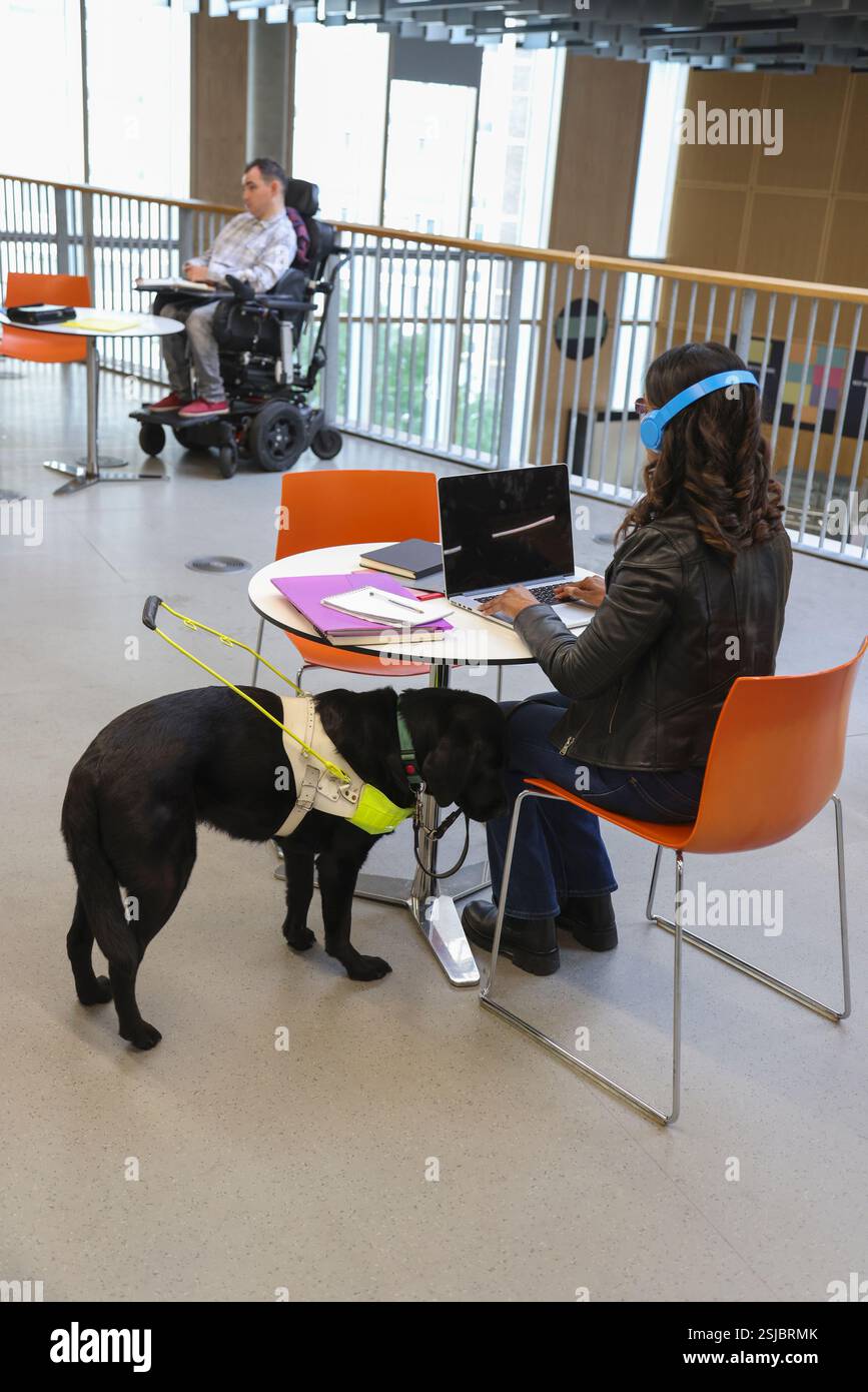 Dog by table hi-res stock photography and images - Alamy