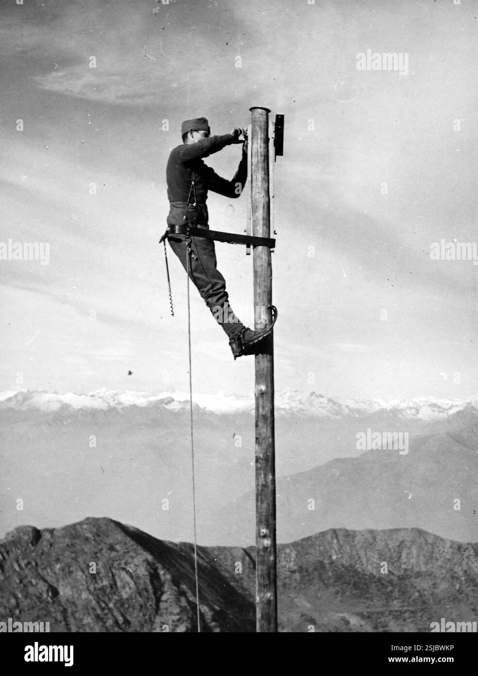 On telegraph pole Black and White Stock Photos & Images - Alamy