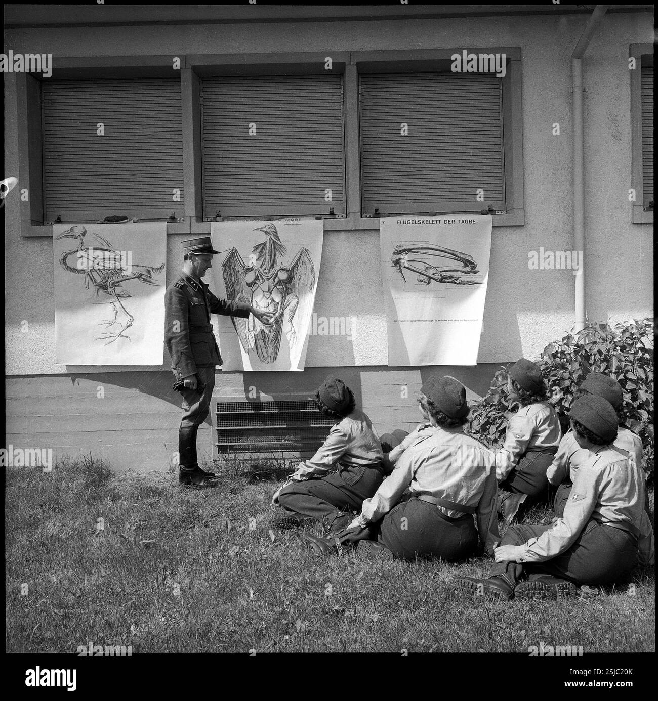 Anatomie vortrag hi-res stock photography and images - Alamy