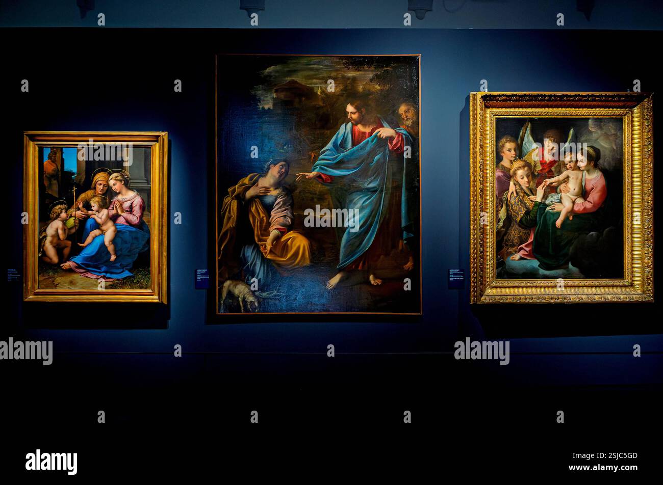 Exhibition preview of The Farnese in Sixteenth-Century Rome. Origins ...