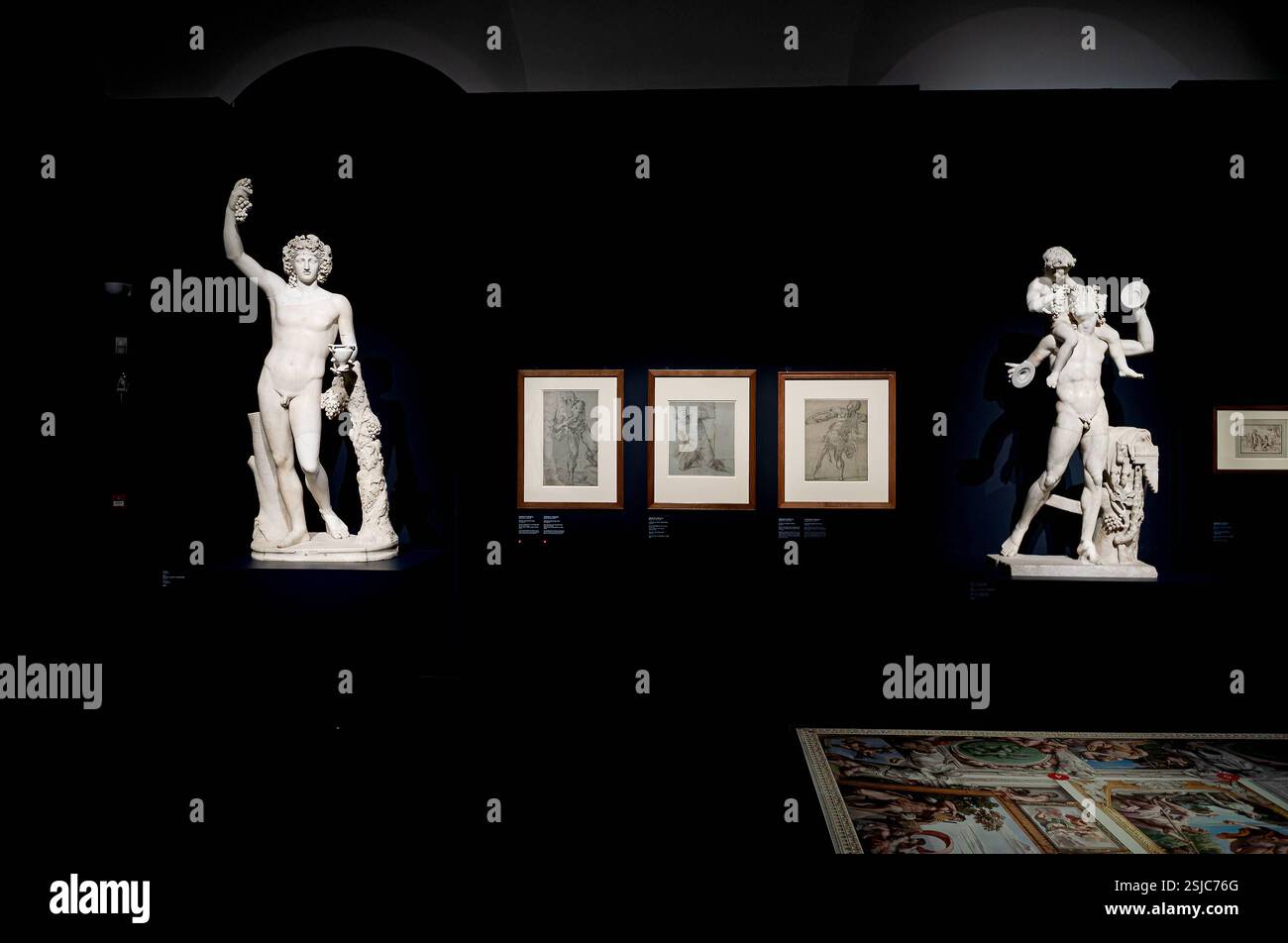 Exhibition preview of The Farnese in Sixteenth-Century Rome. Origins ...