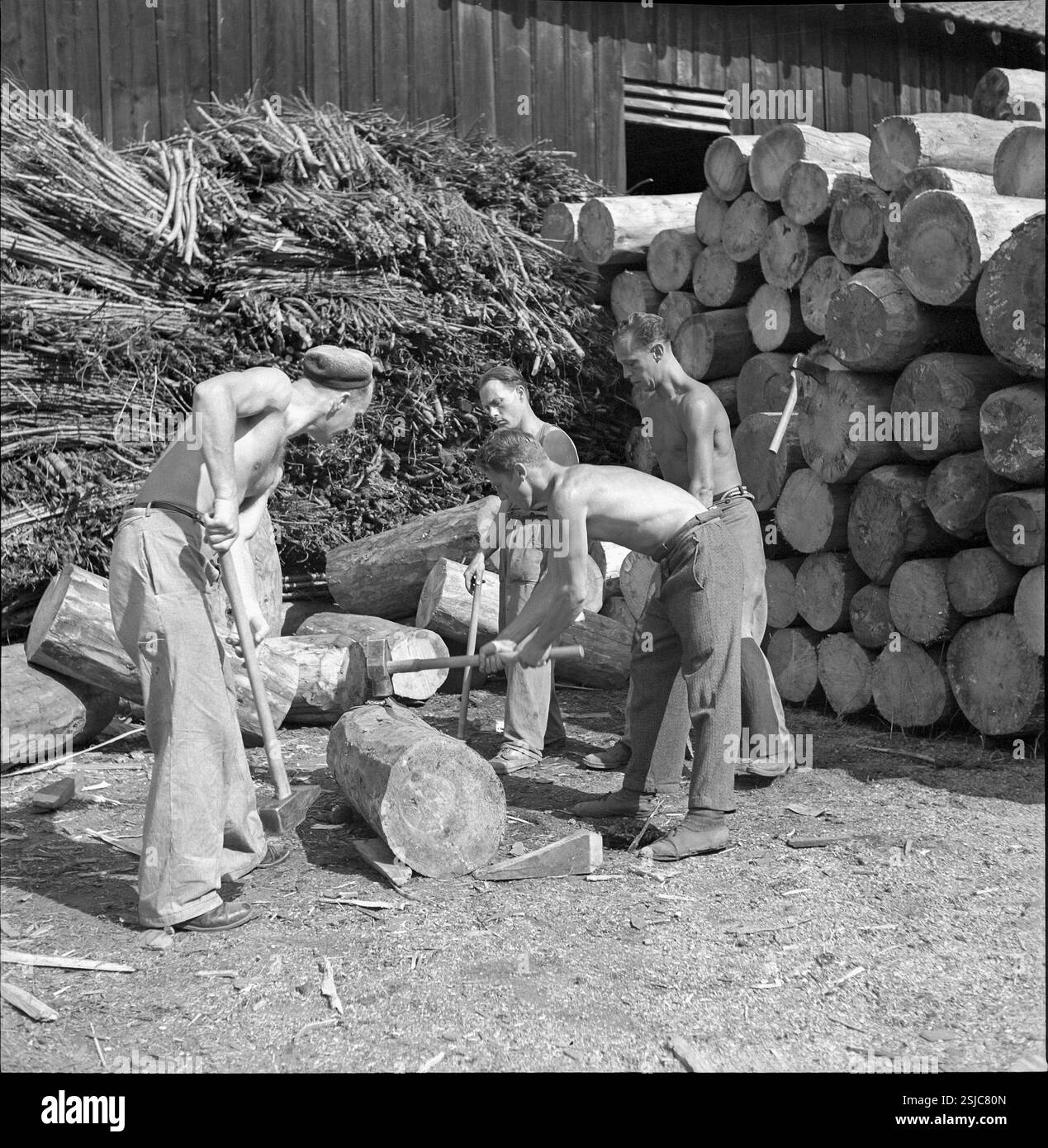 Männer zerkleinern Holz zum Betreiben der Motoren von Dampfschiffen; 1943#Steamer, wood powered ...