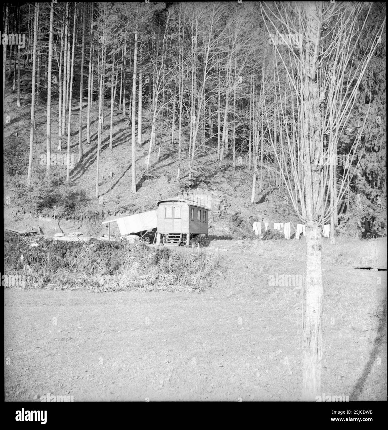 Wohnwagen von Jenischen an Waldrand, 1947#Caravan of Yenish people at ...