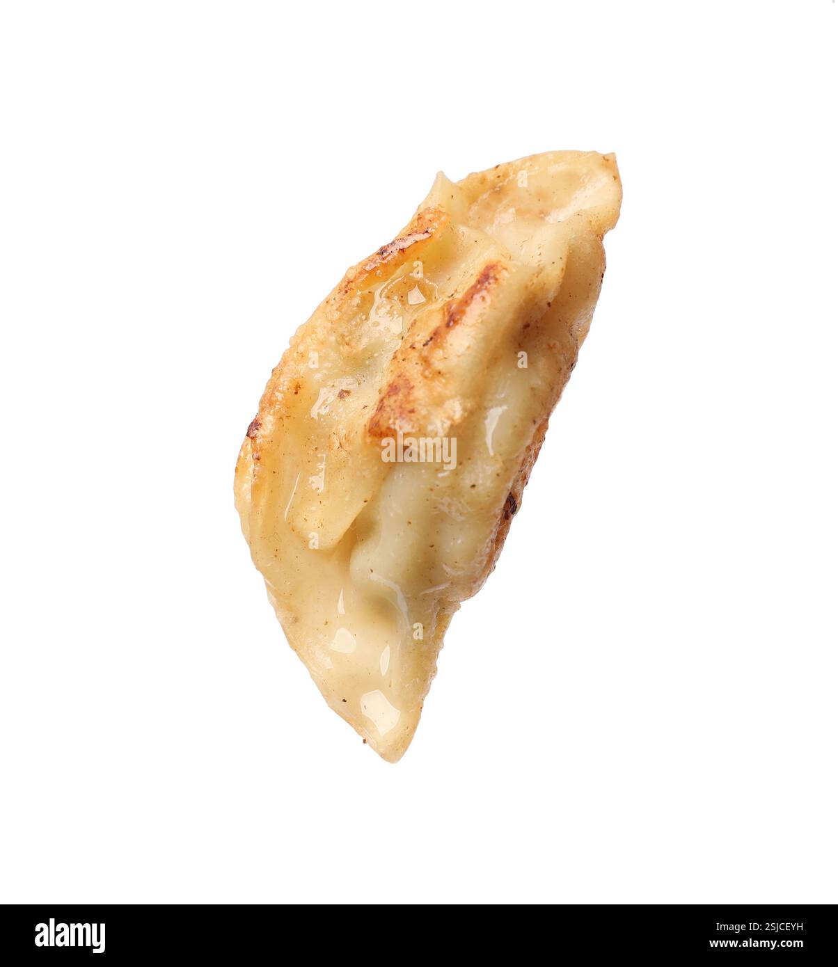 One fried gyoza dumpling isolated on white Stock Photo - Alamy