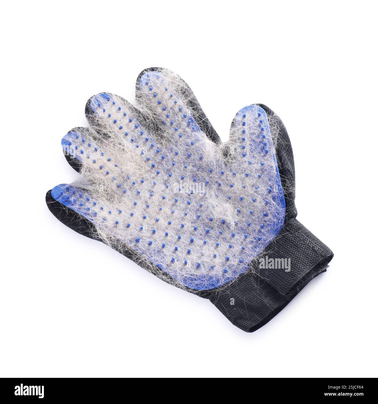 Allergic to pet Cut Out Stock Images & Pictures - Alamy