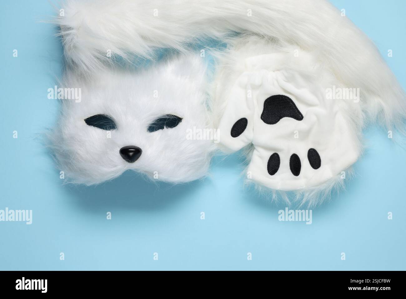 Quadrobics. Cat mask, tail and gloves on light blue background, top ...