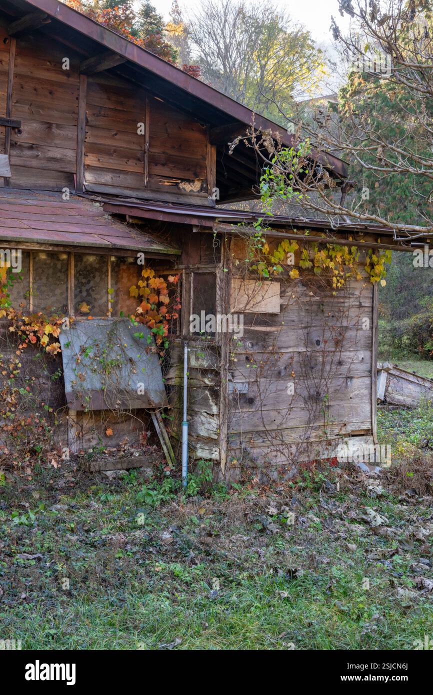 Rural Wooden Barn on a farm in the Japanese Alps Stock Photo - Alamy