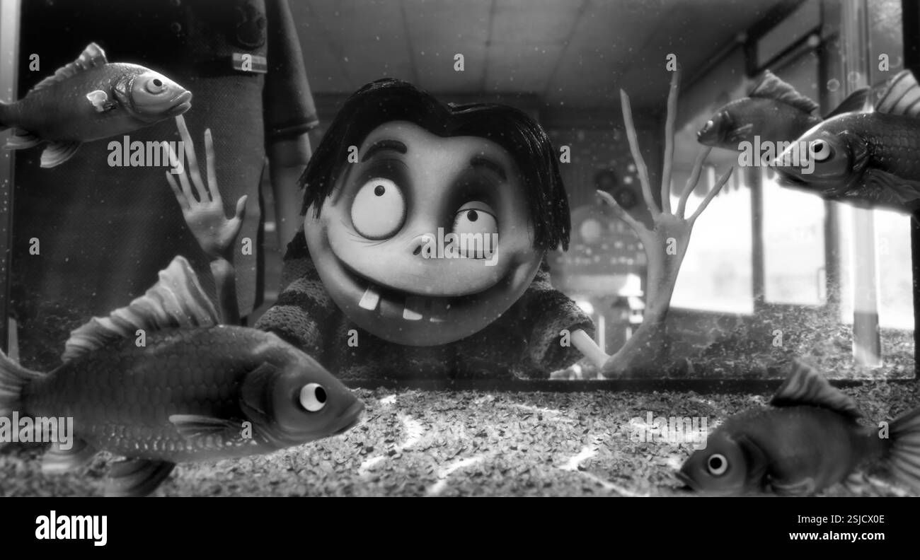 Frankenweenie Year : 2012 USA Director : Tim Burton Animation Stock ...