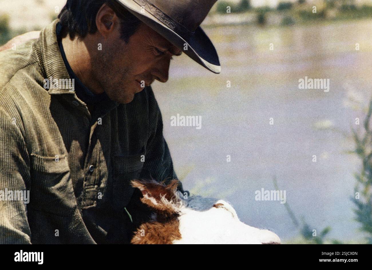 Hang 'Em High Year : 1968 USA Director : Ted Post Clint Eastwood Stock ...