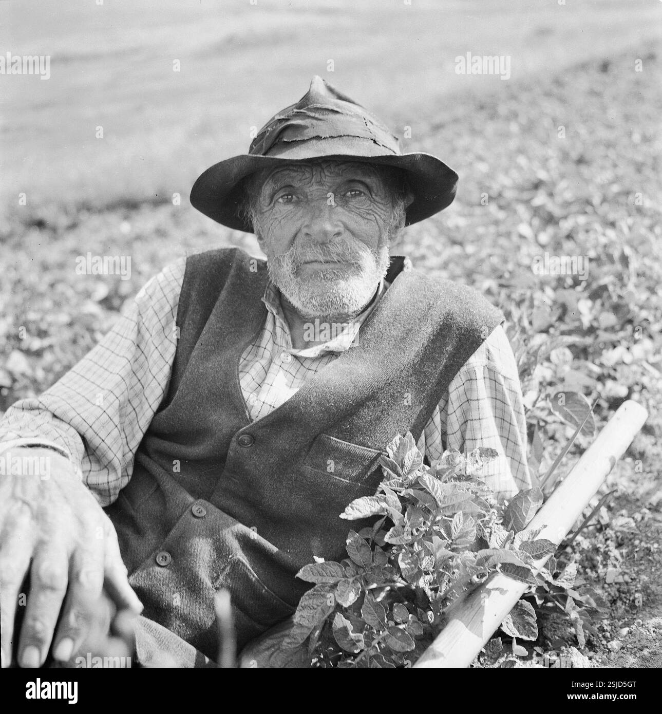 Alter Bauer in Obersaxen, circa 1950#Old farmer in Obersaxen, circa in ...