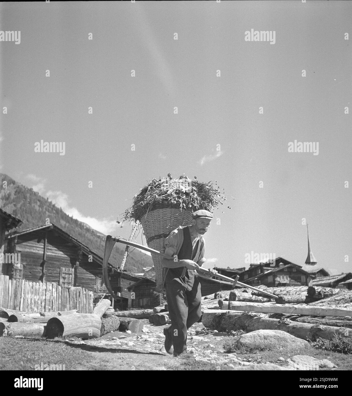 Man carrying hay Black and White Stock Photos & Images - Alamy