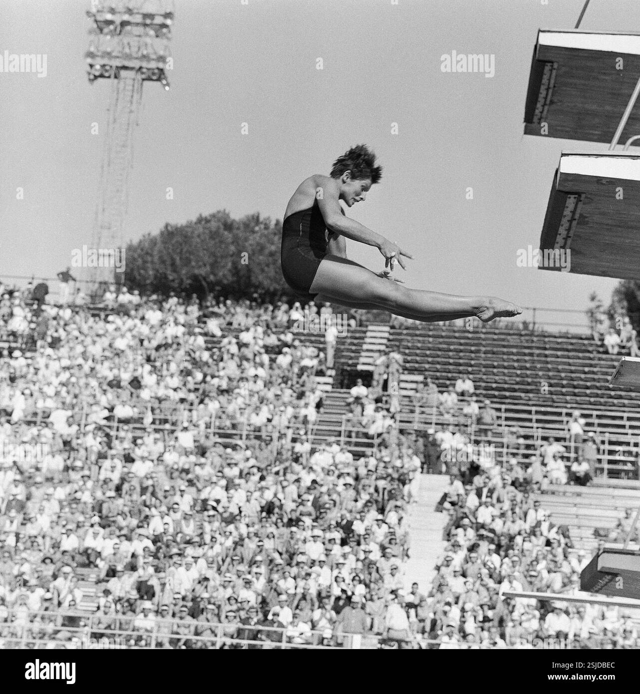 Olympische Spiele Rom 1960: Turmspringerin Mary Willard#Olympic Games ...