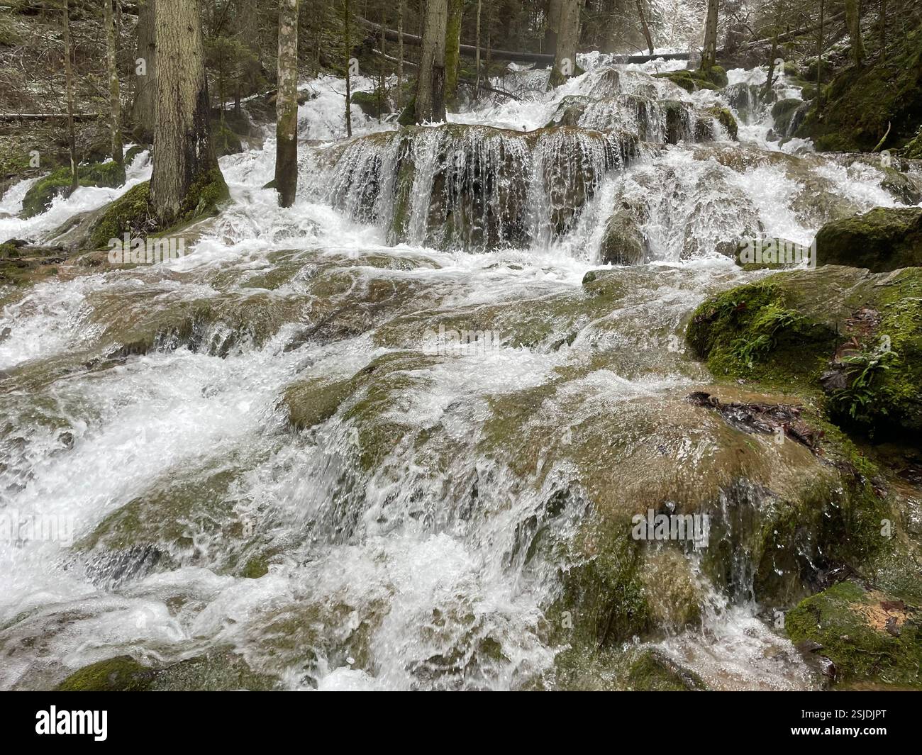 Miljacka spring and waterfall, Sarajevo, Bosnia Stock Photo - Alamy