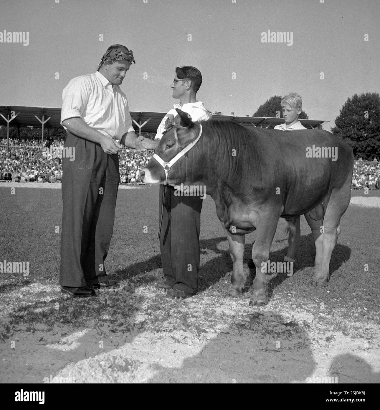 Eidgenössisches Schwing- und Älplerfest 1953 in Winterthur ...