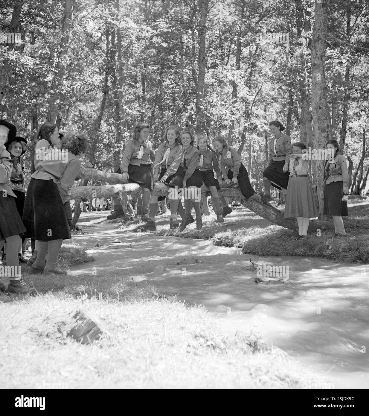 Brücke bauen # building a bridge #--- 30 Jahre Bund Schweizerischer ...