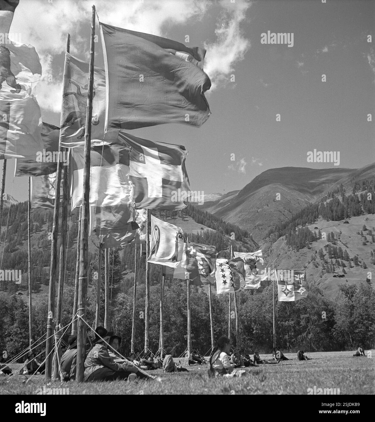 Kantonsfahnen hi-res stock photography and images - Alamy