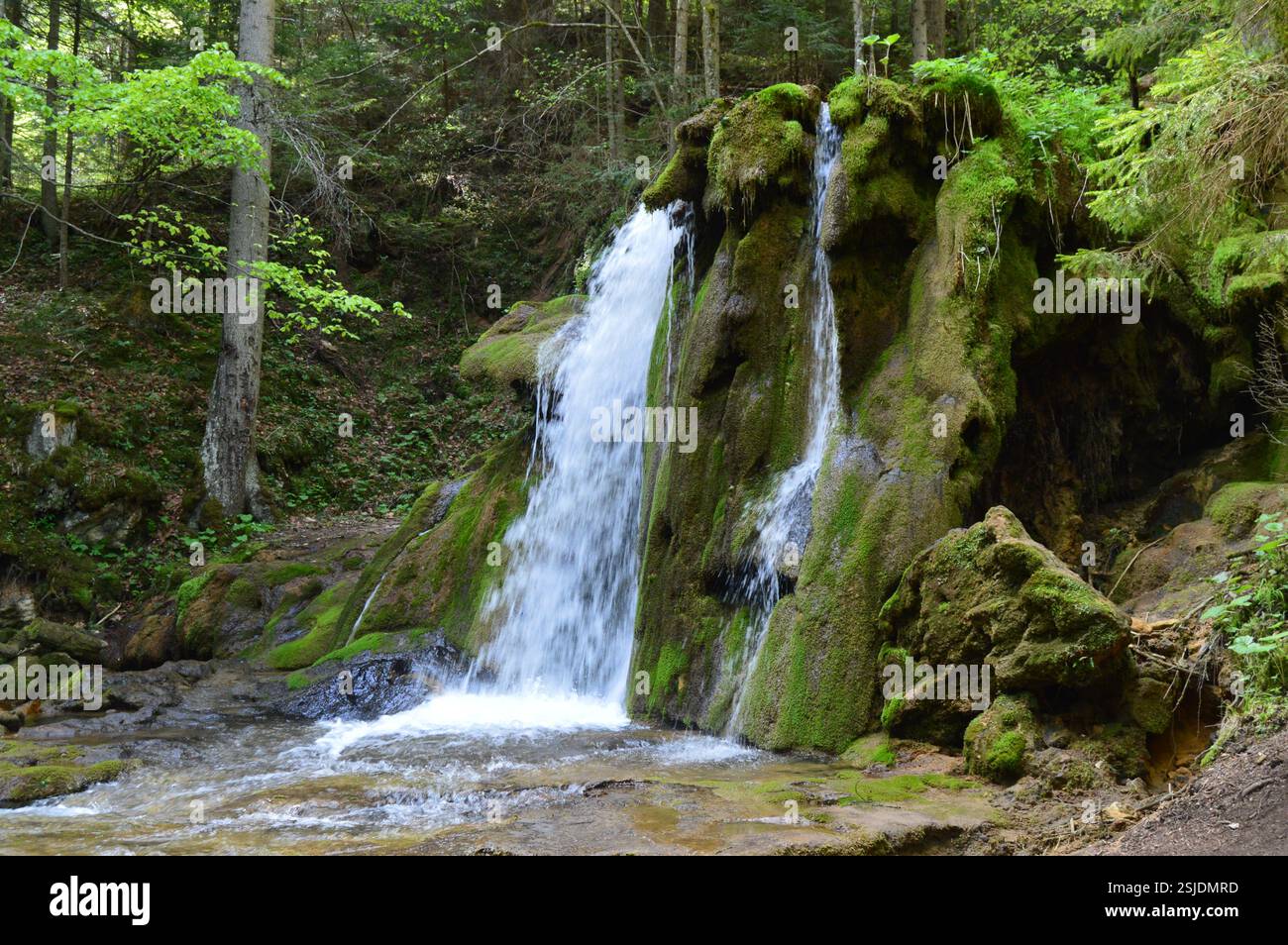 Miljacka spring and waterfall, Sarajevo, Bosnia Stock Photo - Alamy